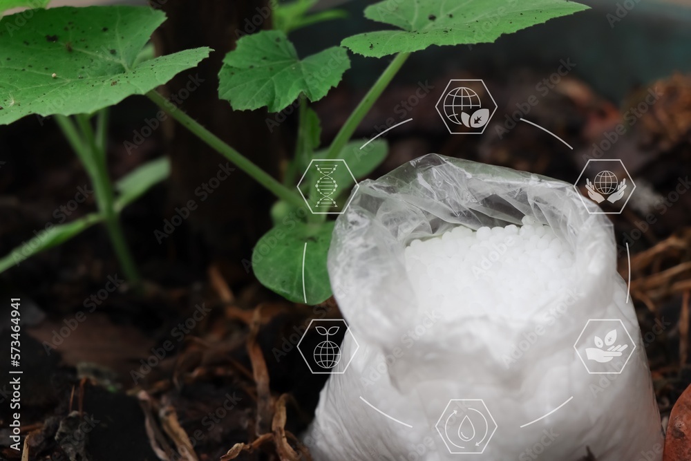 process of plant growth with fertilizer and development, Young tree ...