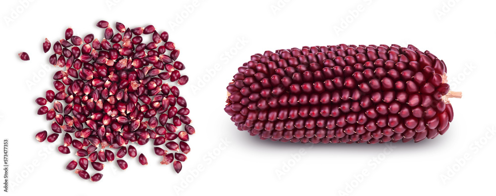 Purple corn or maize seeds isolated on white background with full depth ...