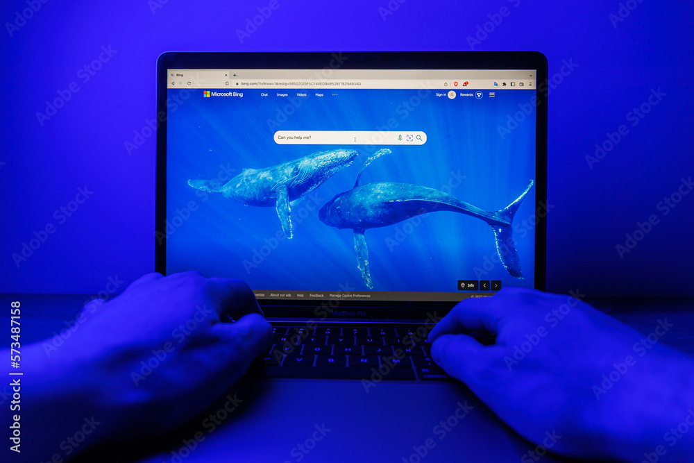 Microsoft Bing on computer. Man working on PC with Microsoft Bing ...