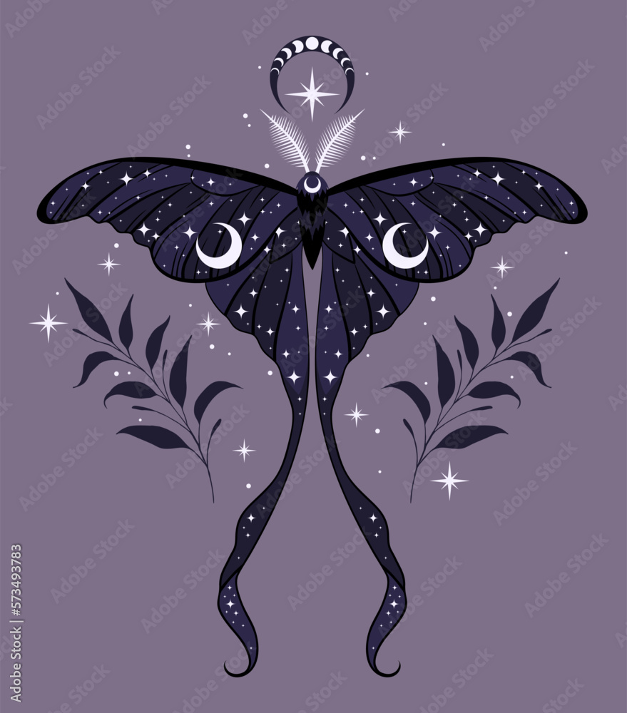Vector illustration of night moon moth. For print for T-shirts and bags ...