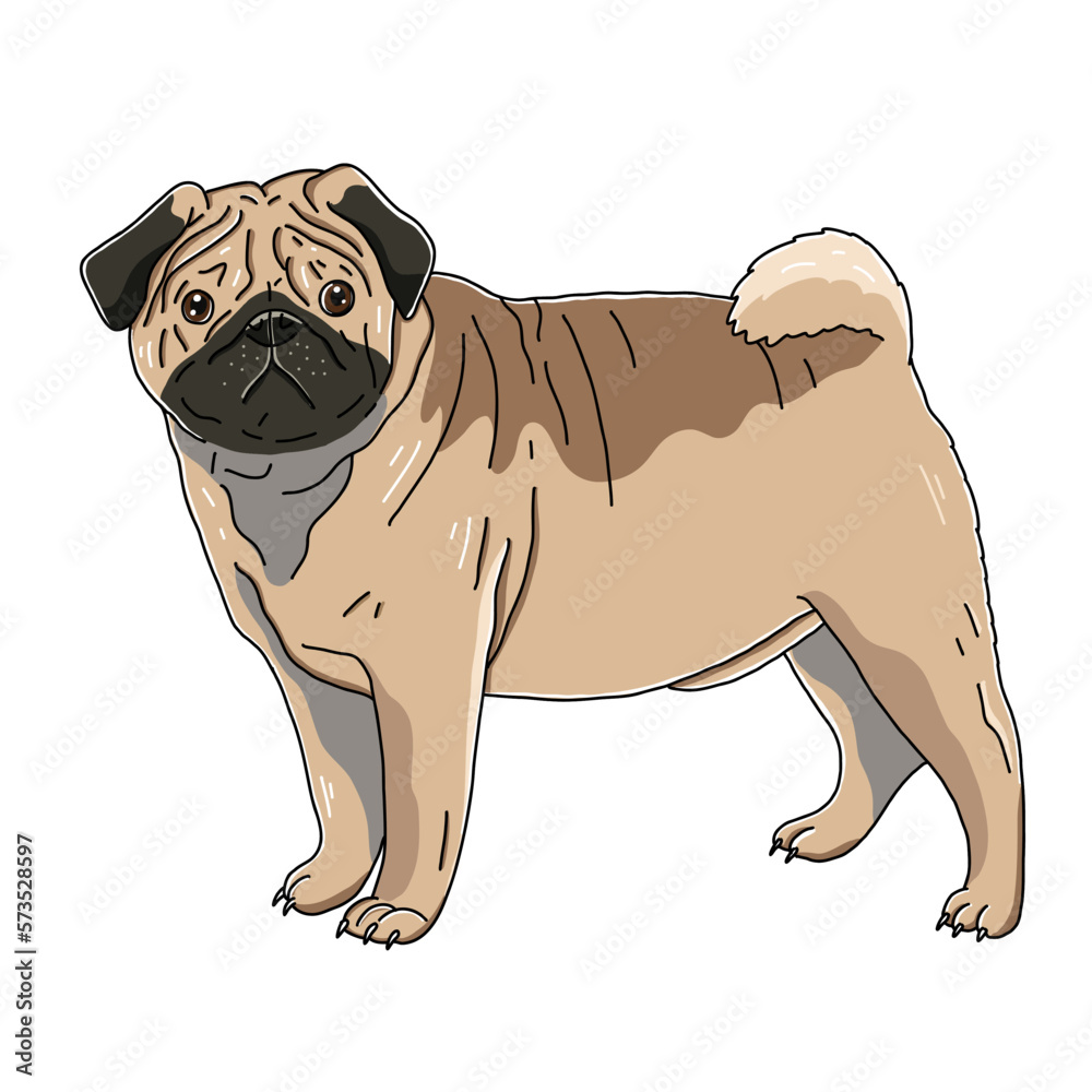 Pug dog cute cartoon illustration. Clipart image for sticker, children ...