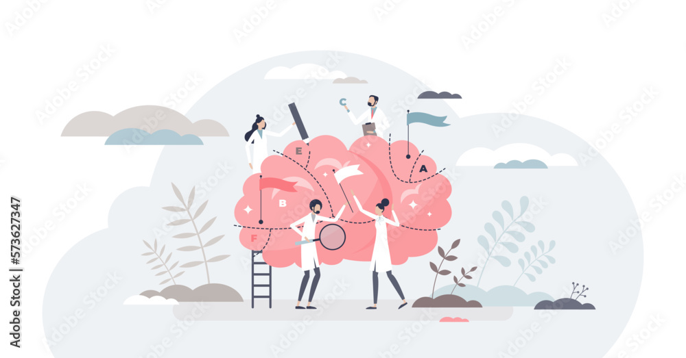 Brain mapping as neuroscience spatial representations method tiny ...