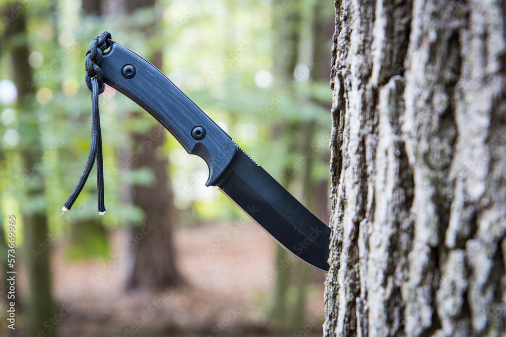 Tactical army knife stuck in a tree stump in a forest Stock Photo ...