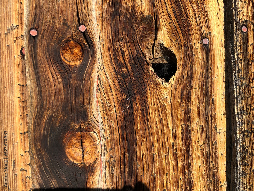 Old wood texture of a timber at a historic mormon barn near Grand Teton ...