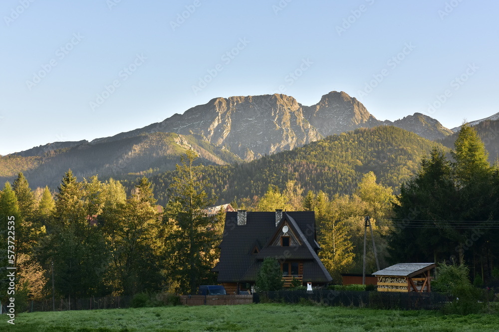 Tatry, góry, Zakopane, panorama, TPN, Park, poranek, lato, Stock Photo ...