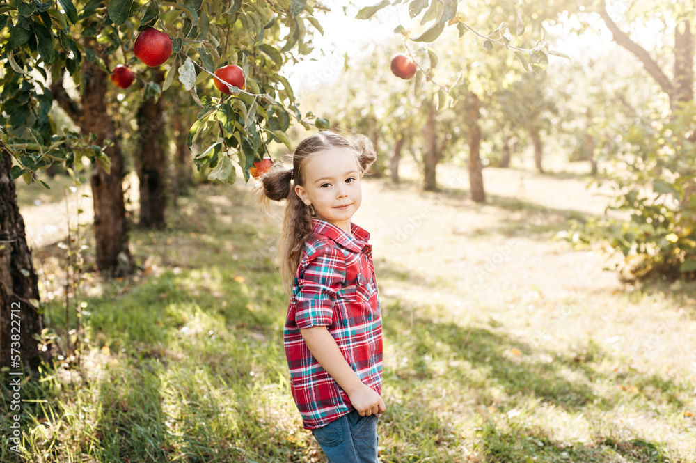 Child picking apples on farm in autumn. Little girl playing in tree ...