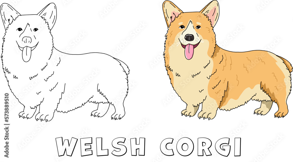 Corgi dog, vector cartoon cute outline illustration isolated on white ...