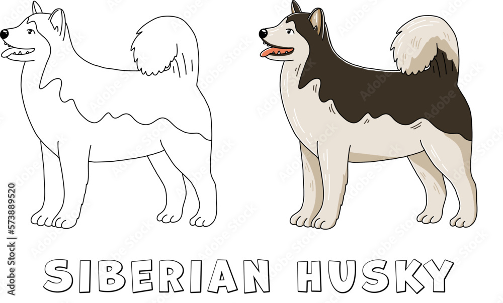 Husky dog, vector outline illustration in cartoon style isolateted on ...