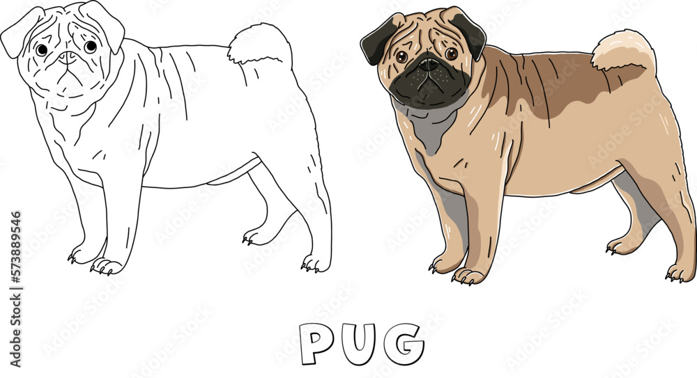 Pug dog cute cartoon outline illustration. Clipart image for sticker ...