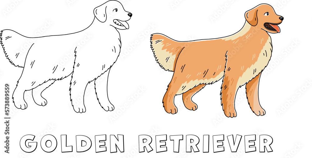 Golden retriever cute vector outline cartoon illustration for coloring ...