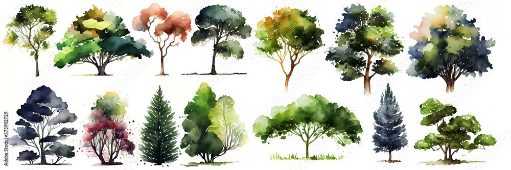 Watercolor trees collection. Set of hand drawn trees. Forest tree pack ...