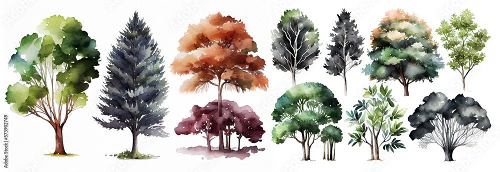 Watercolor trees collection. Set of hand drawn trees. Forest tree pack ...