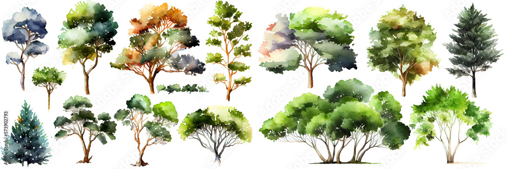 Watercolor trees collection. Set of hand drawn trees. Forest tree pack ...