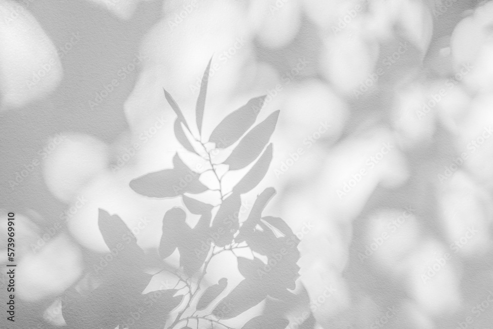 Leaf shadow and light on wall background. Nature tropical leaves tree ...