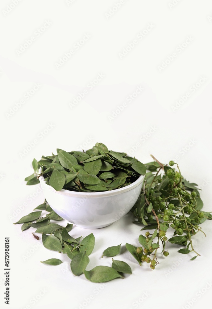 Henna Tree Fruits or Mignonette Tree Leaves in a White Bowl Isolate on ...