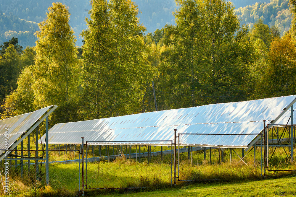 Solar modules are installed next to a dense green forest on the slope ...
