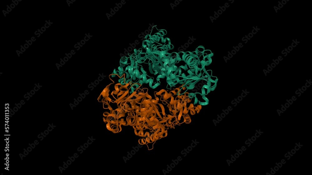 Anthrax toxin lethal factor. Animated 3D cartoon and Gaussian surface ...