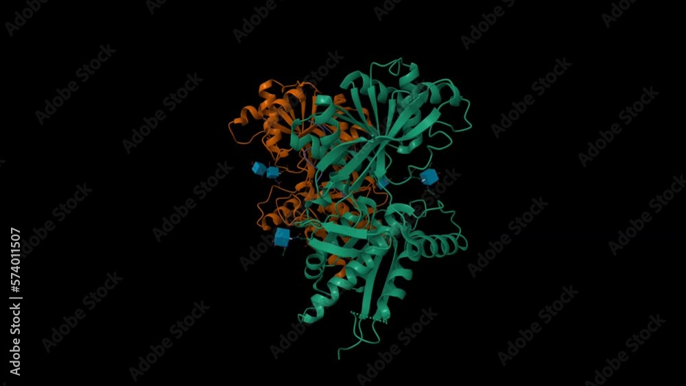 Structure of natriuretic peptide receptor-C dimer complexed with atrial ...