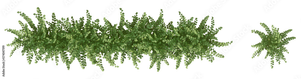 plan 2D view shrub composition Isolated on PNGs transparent background ...