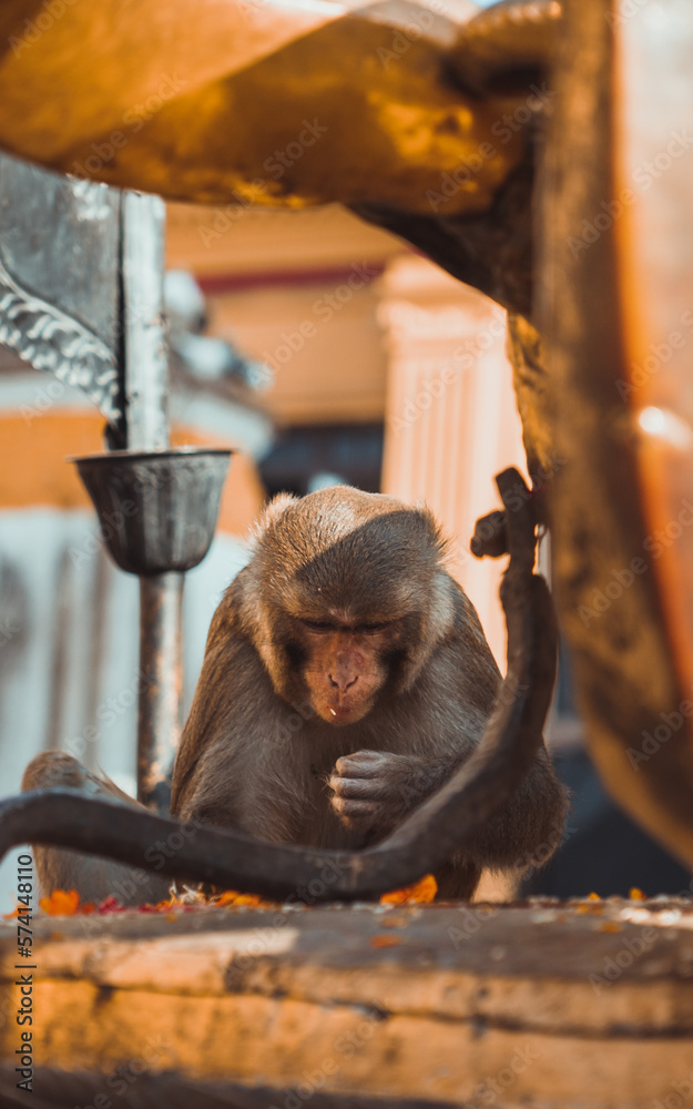 Monkey Temple Swayambhunath in Kathmandu nepla Stock Photo | Adobe Stock