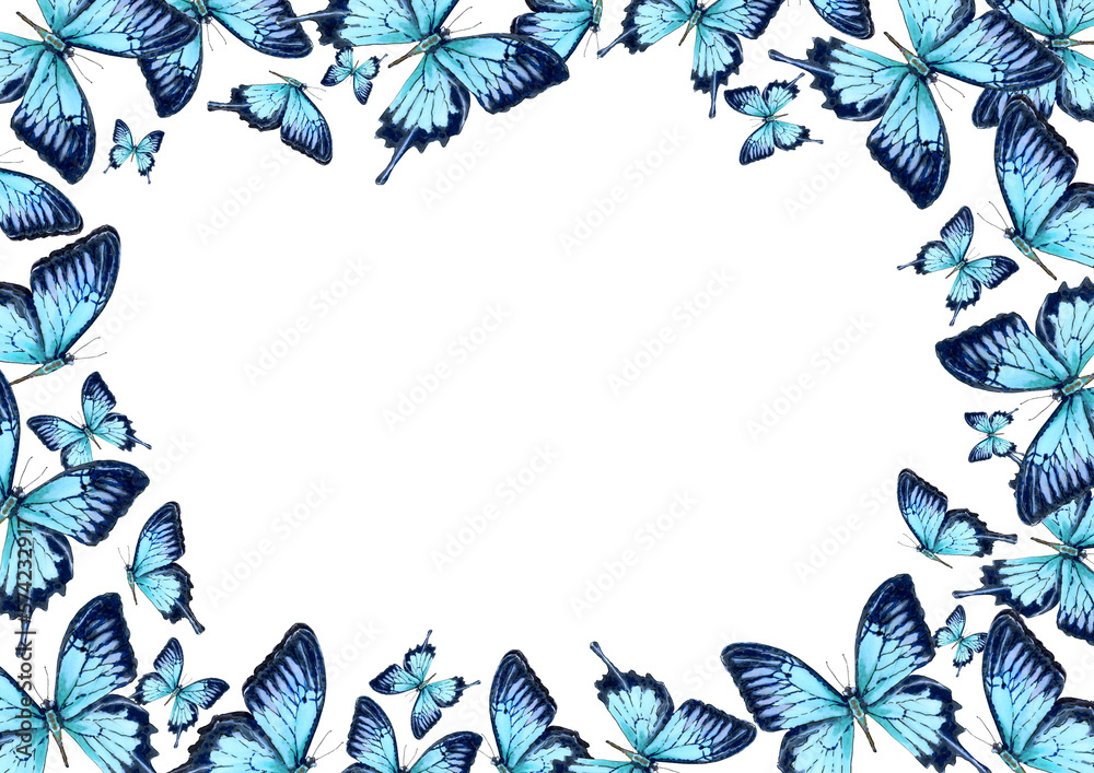 Painted blue butterflies frame. Hand drawn illustration isolated ...