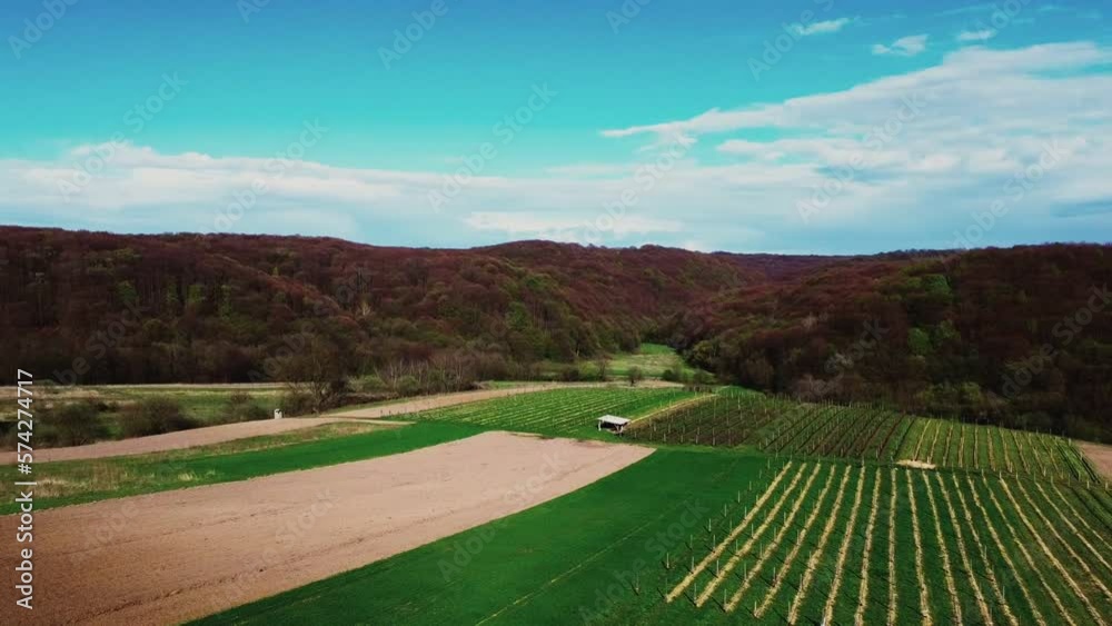 Vidéo Stock Sown fields on agricultural lands in summer aerial view ...