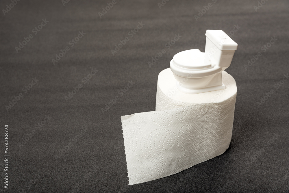 Toilet model is on roll of toilet paper. Hygiene products for the ...