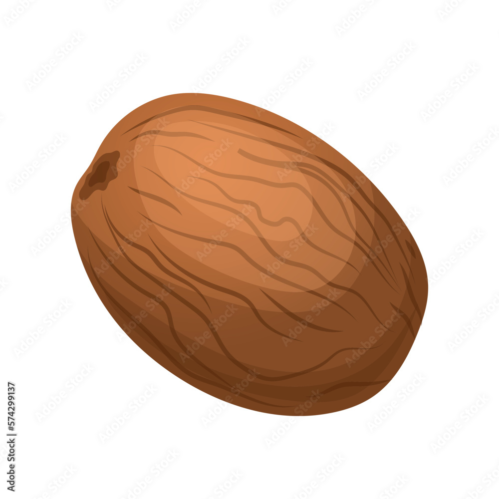 nutmeg food ingredient cartoon vector illustration color sign Stock ...