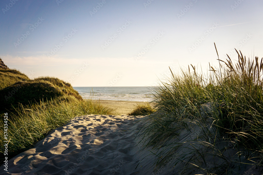 Grass and sand Dunes and beach scene, Tornby on the West North coast of ...
