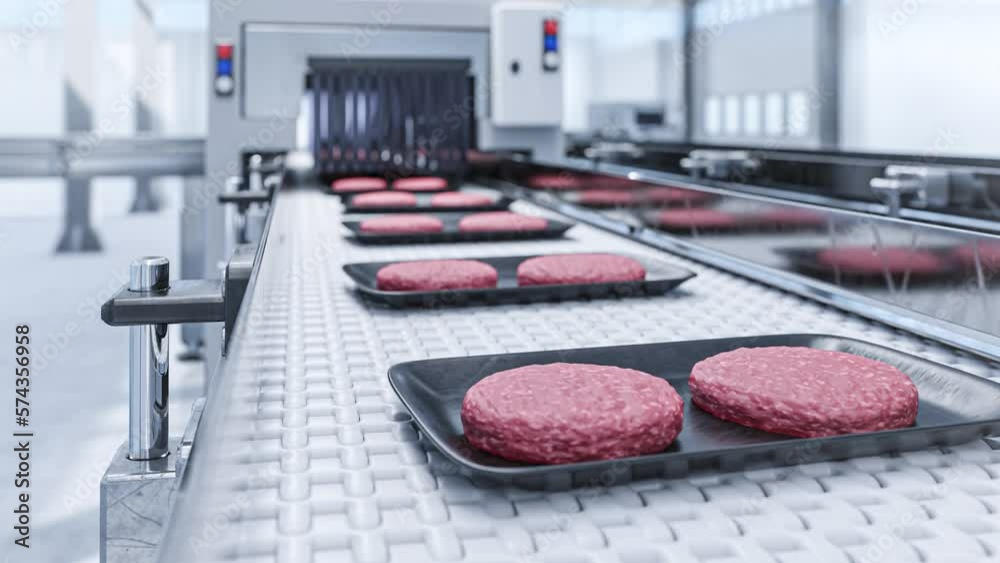 Video „Conveyor in a factory of ready-made beef hamburger patties - a ...