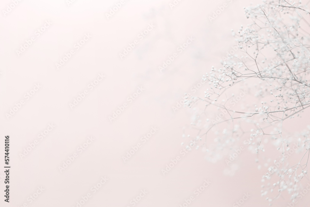 Soft natural plant background. Dreamy background with meadow flowers ...