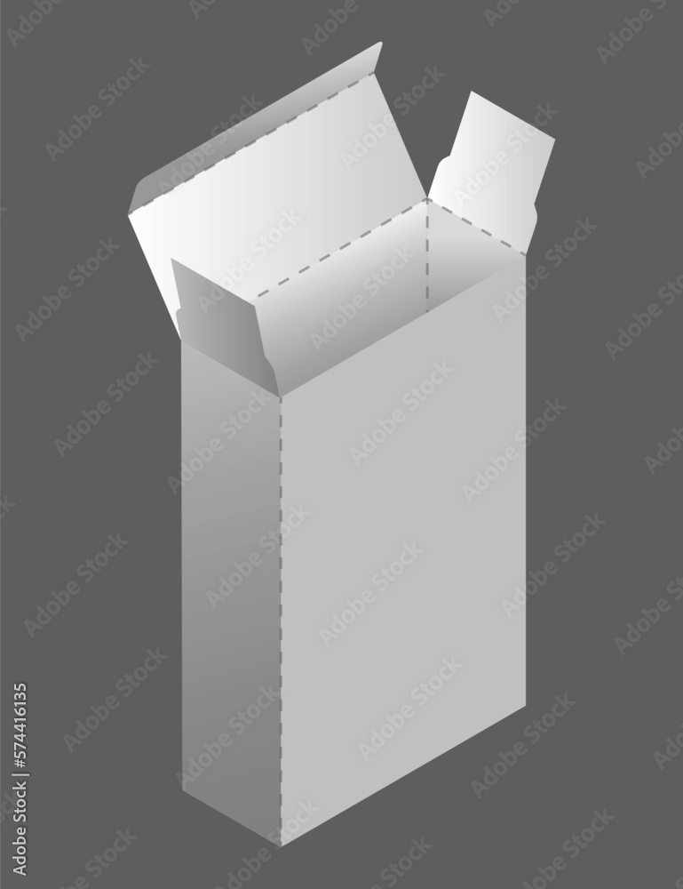 Box model. Package template layout for new design. Paper rectangular ...