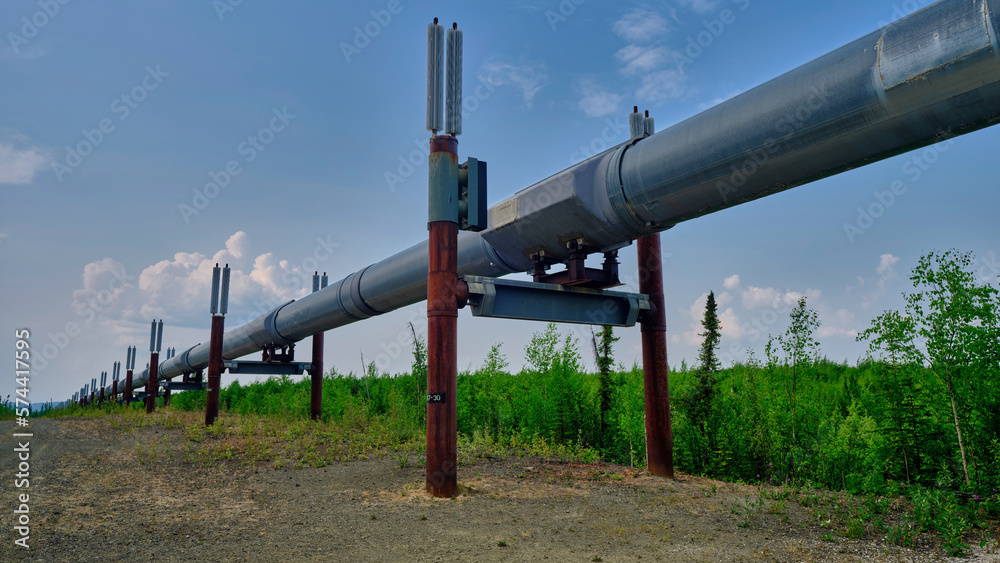 The architecture of the Trans-Alaska Oil Pipeline near North Slope in ...