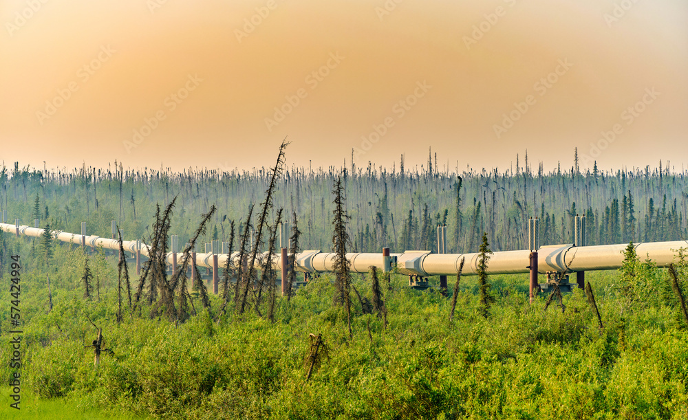 Fotografia do Stock: 9pm above the Arctic Circle with the Trans-Alaska ...