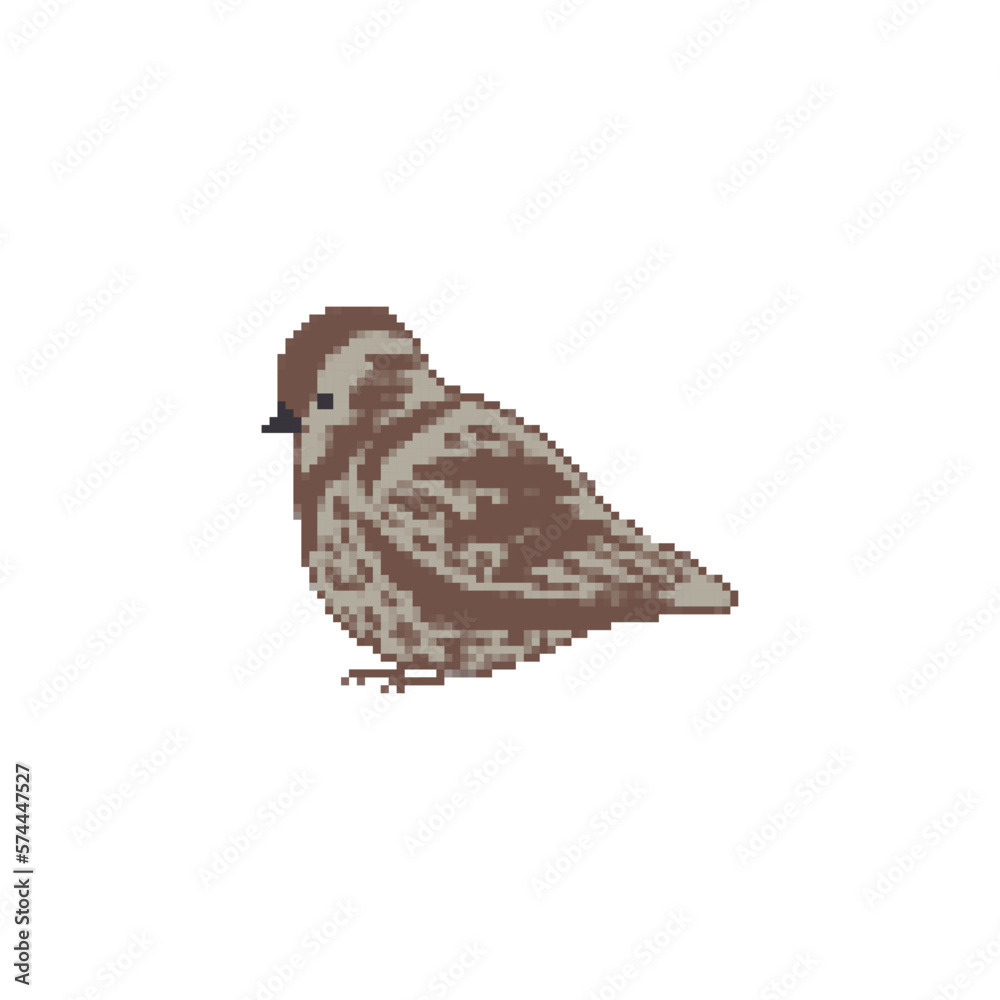 Sparrow pixel art. 8 bit Small bird. Vector illustration. Stock Vector ...