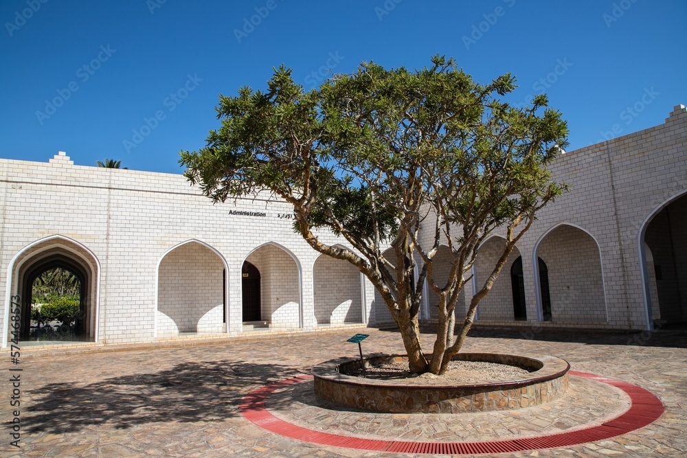 The museum of the Frankincense Land, Salalah, Oman Stock Photo | Adobe ...