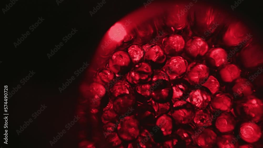 Cell division, formation of morula and embryo. The concept of the ovum ...