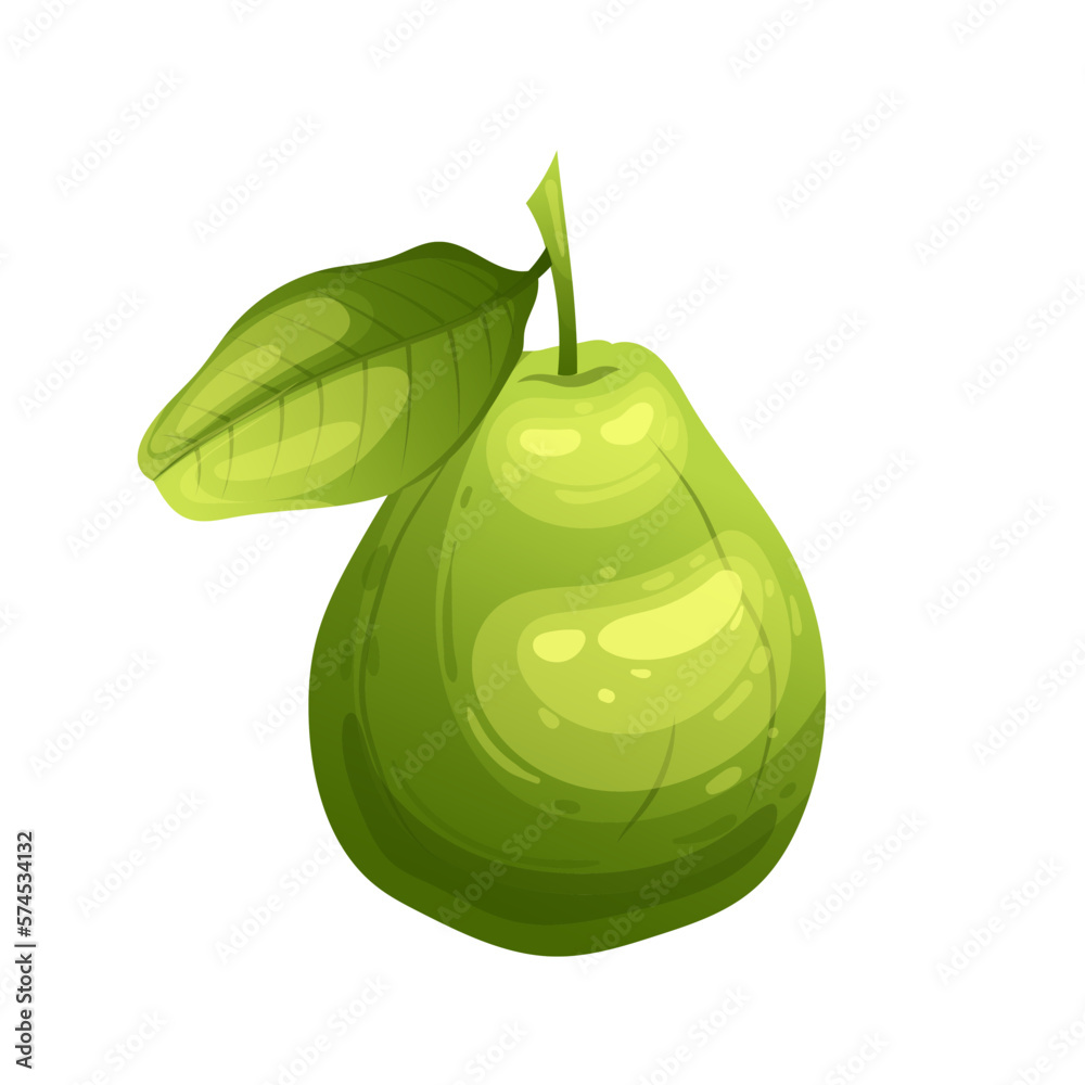 guava fruit fresh food cartoon vector illustration Stock Vector | Adobe ...