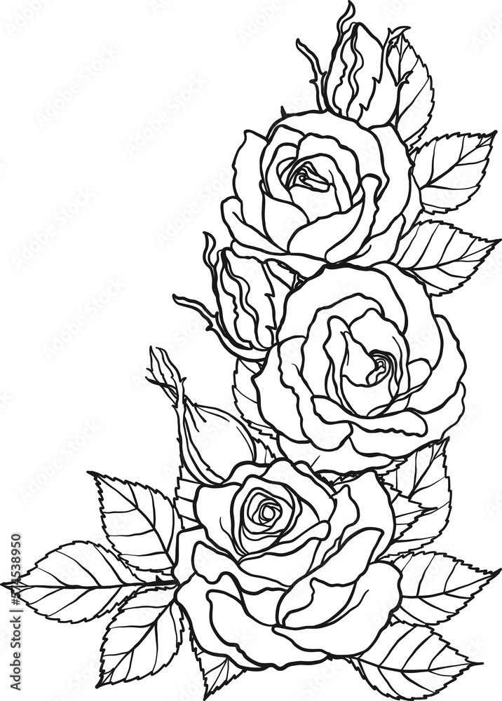 Arthur Bell rose png.Beautiful flower on transparent background. Stock ...