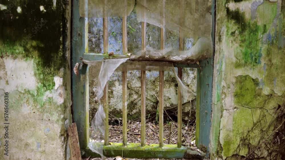 Tilt up the window of abandoned building with tree. Location Papan ...