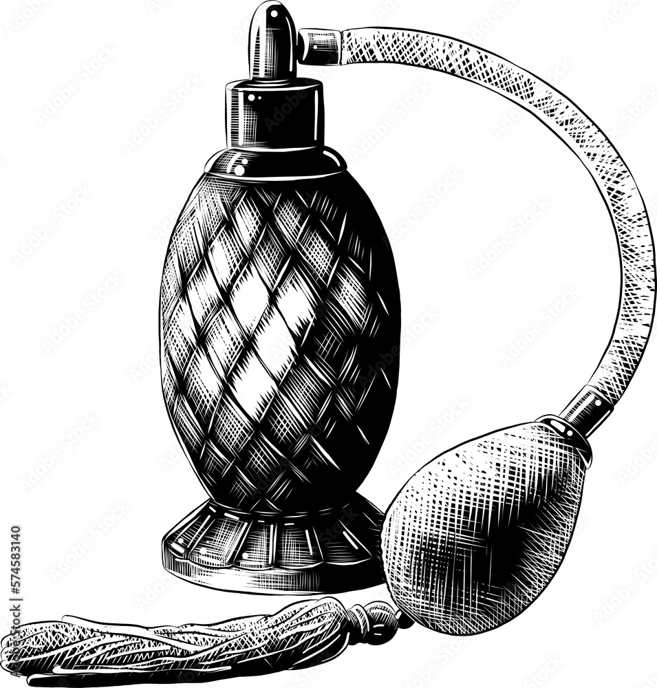 PNG engraved style illustration for posters, decoration and print. Hand ...