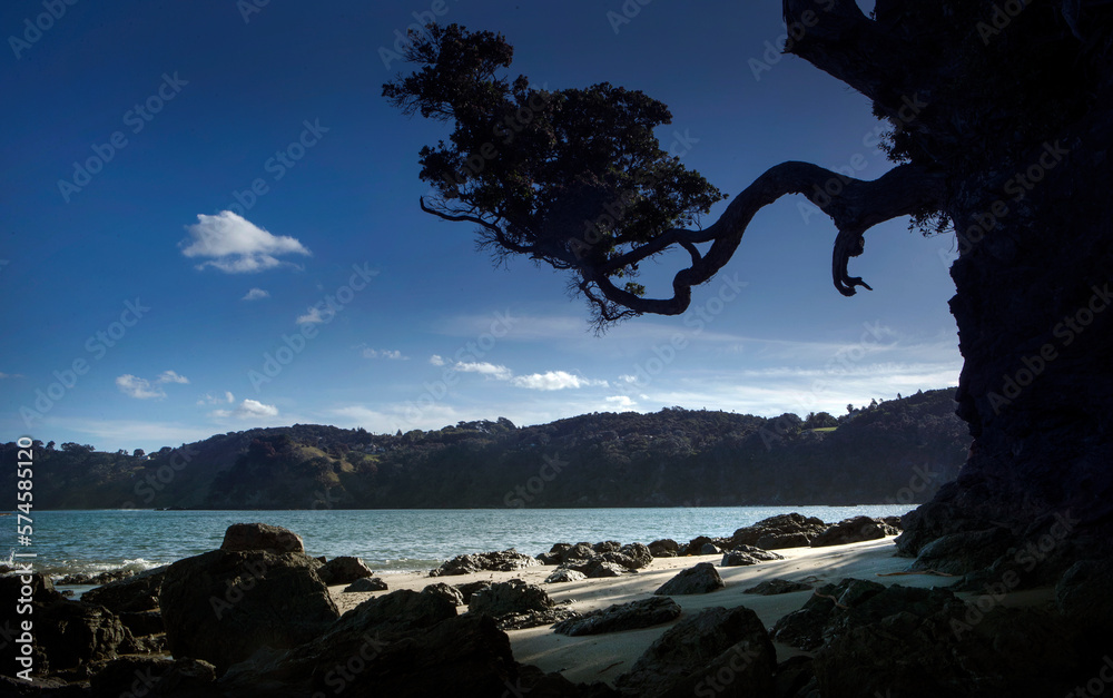 Beach at Leigh matheson bay New Zealand. Sunset. Twilight. Sihouette of ...