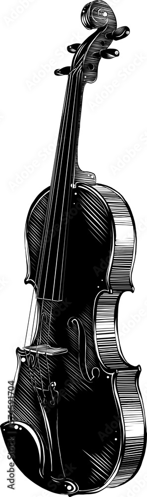 PNG engraved style illustration for posters, decoration and print. Hand ...