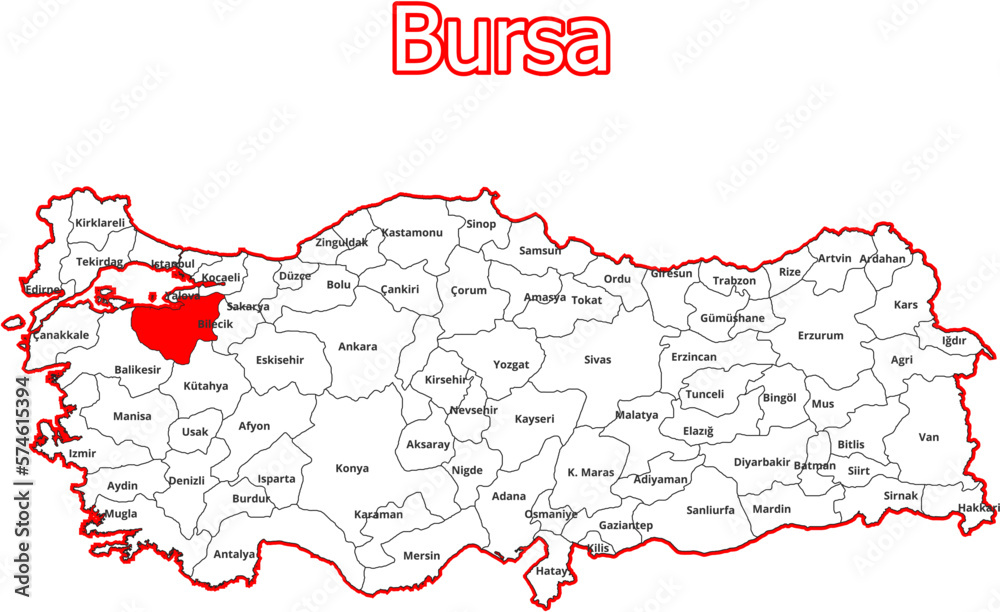 Vektorkarte der Türkei - mit Landkreiskarte des Districts Bursa Stock Vector | Adobe Stock