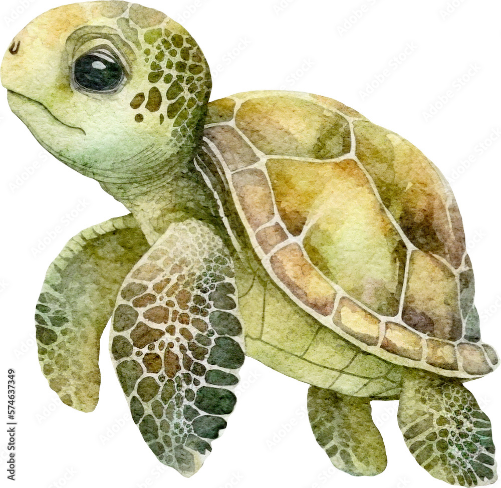 Baby sea turtle illustration created with Generative AI technology ...