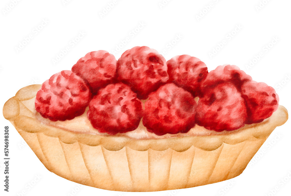 watercolor raspberry tart Stock Photo | Adobe Stock