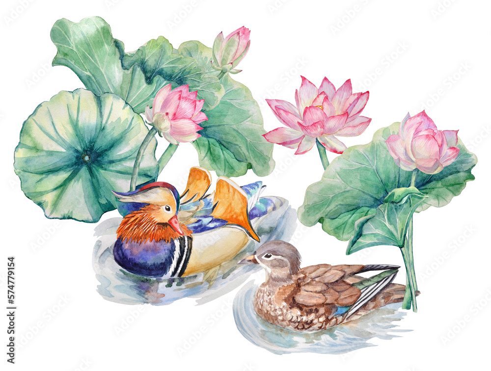 Watercolor composition with hand-painted elements of lotus flowers ...