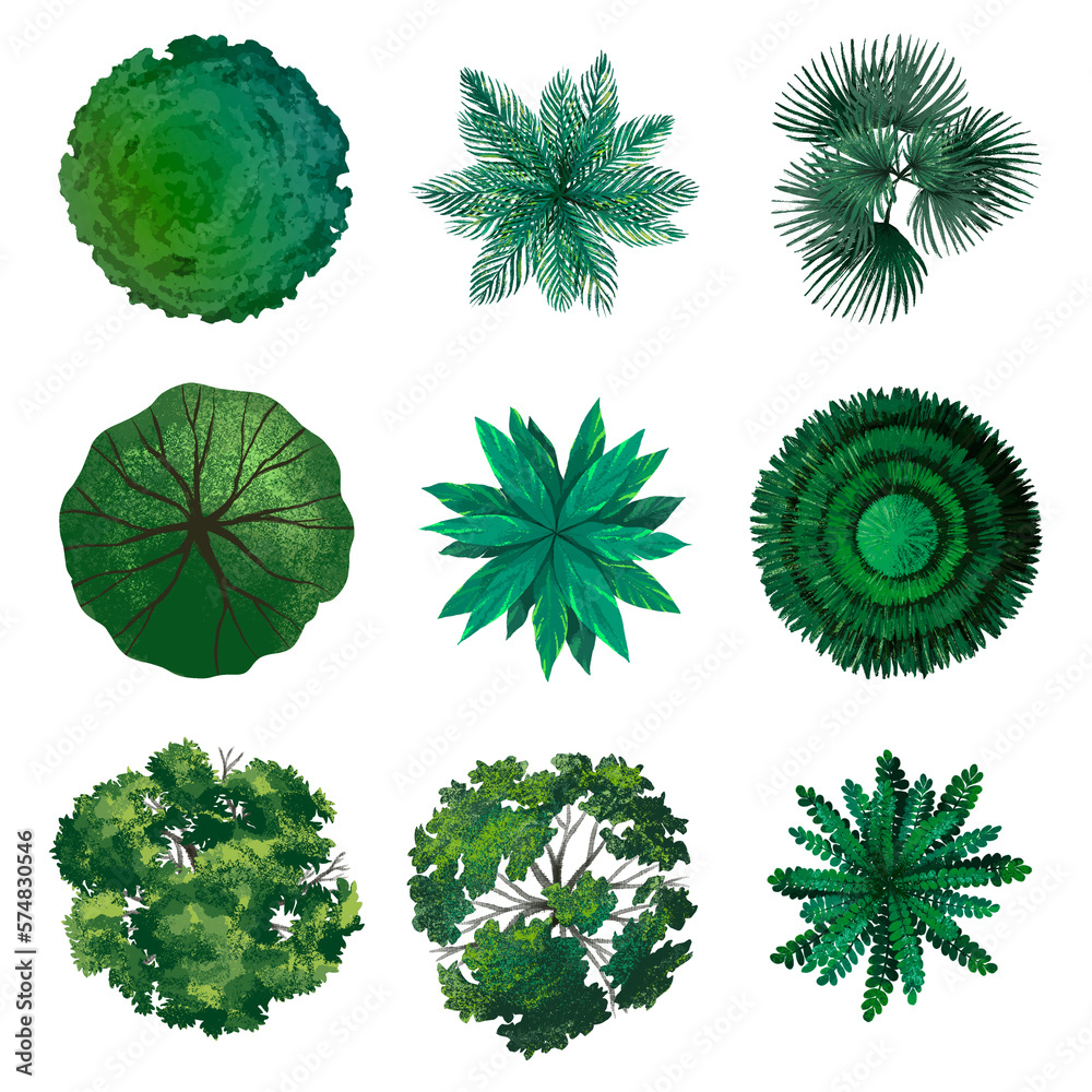 Architectural plans trees. Bushes and shrubs, top view for landscape ...