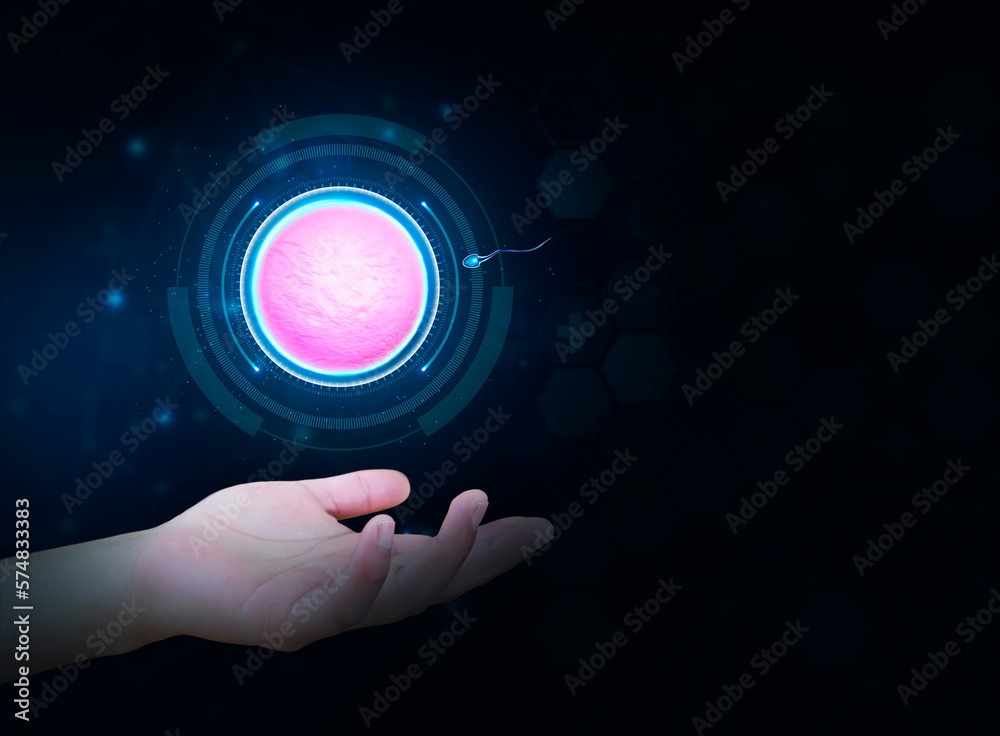 Ilustração do Stock: Pregnancy, fertilization of the ovum. natural ...