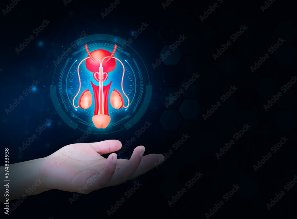 Male reproductive system and hand isolated, digital dark blue ...